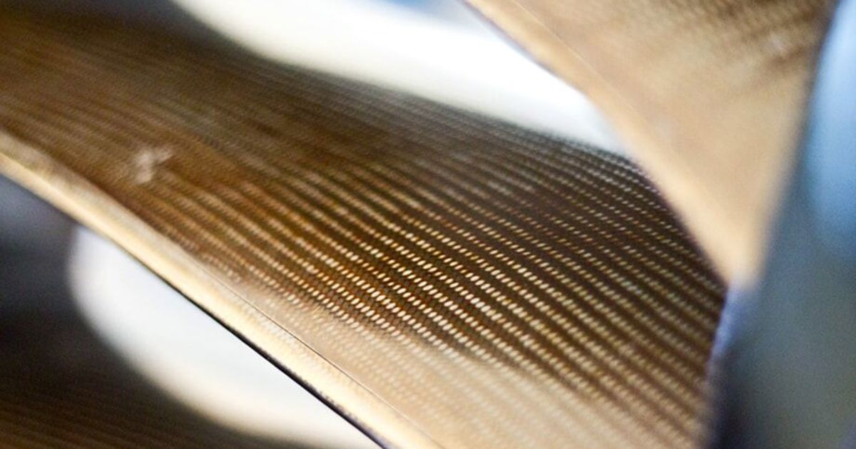 Composite Engine components driving efficiency in aviation - News ...